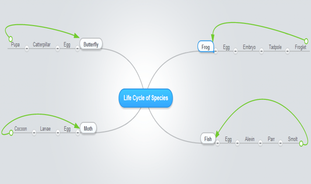 Mindmapping Tips For Educators – EdTechReview