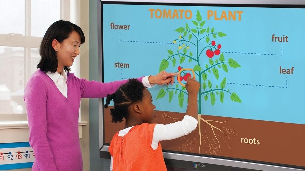 Georgia-based Boxlight Raises Additional $750,000 to Help Improve ...