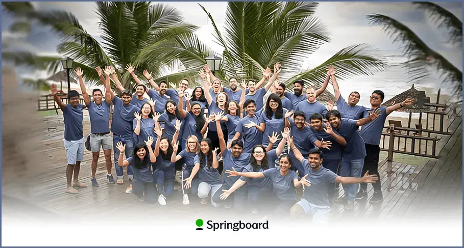 Springboard Launches New Course Offering for University Partners ...